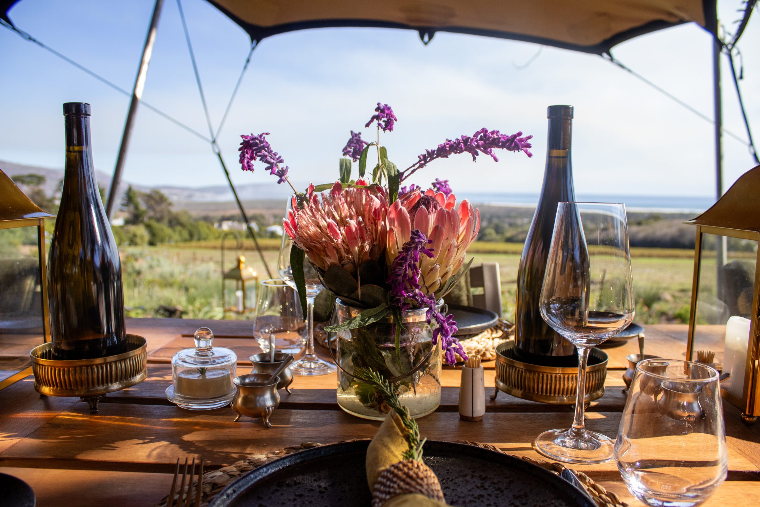Gallery - The Alexander Estate